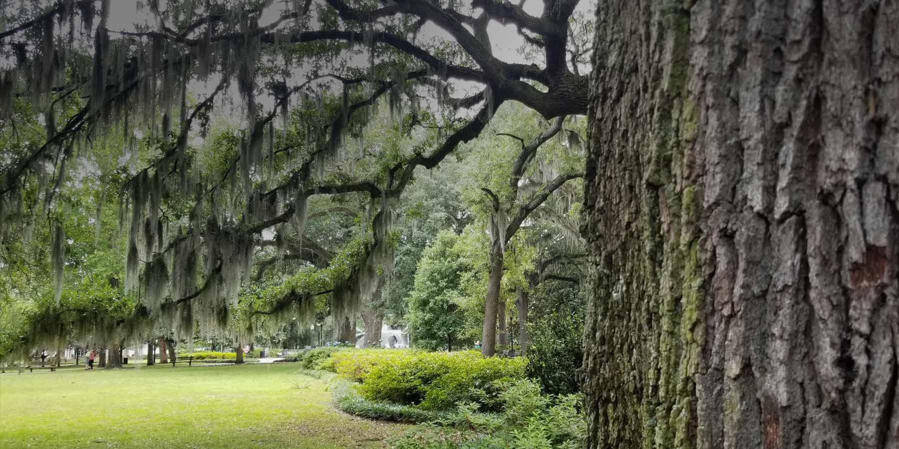 We Know Savannah Law. Savannah Lawyers and Our Community - Phillips ...